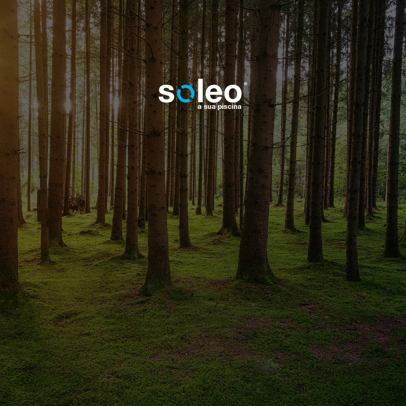 Dia Mundial Sem Papel - Soleo Piscinas